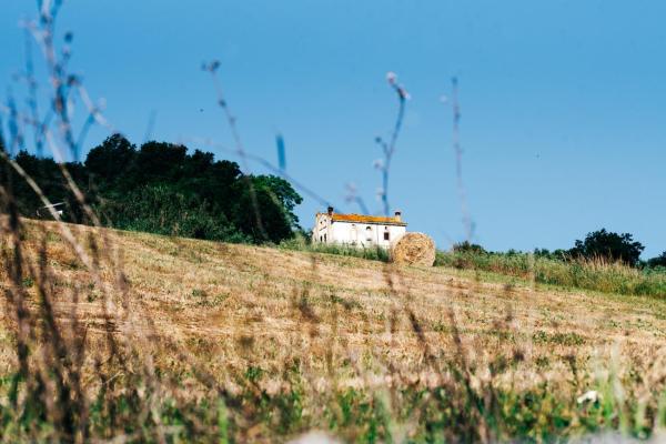 Casa Di Campagna, Pace E Natura, Sotto La Maiella - Agricasa Caprafico - Lanciano