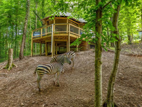 Zootastic Retreat Private Hot Tub Zoo Access - Statesville, NC