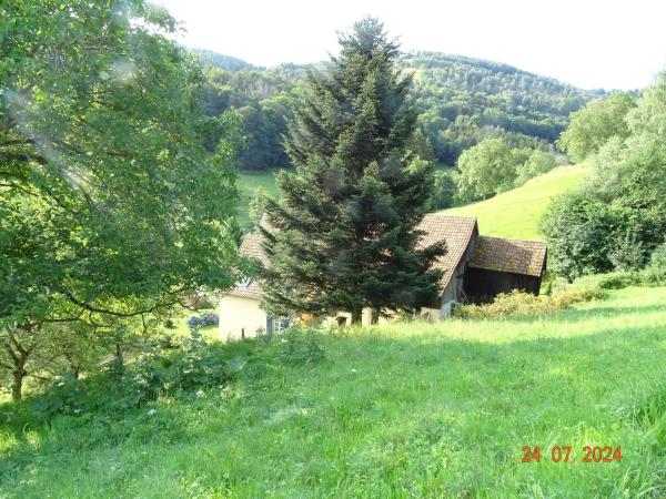 Chambre D'hôtes Sur La Montagne De L'ange - Munster, France