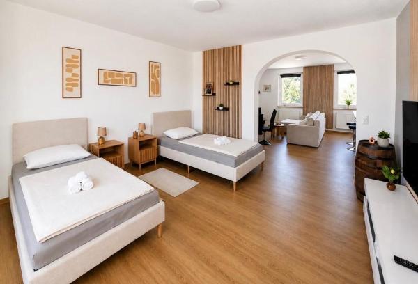 Stilvolles City Apartment - Magdeburg