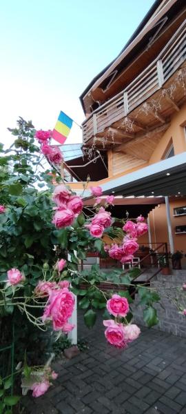 Casa Tudor Turda - Romania