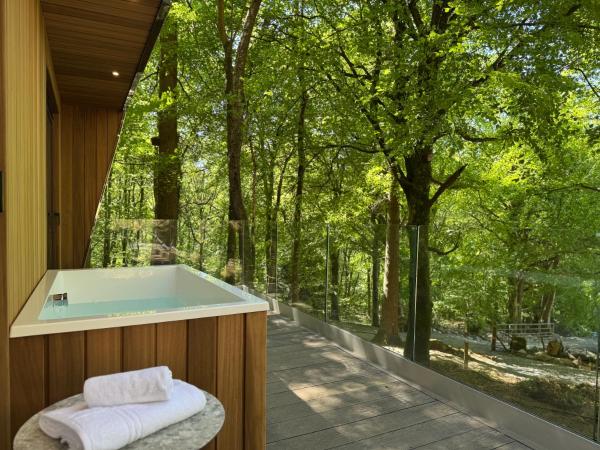 Forest Lodges - Betws-y-Coed