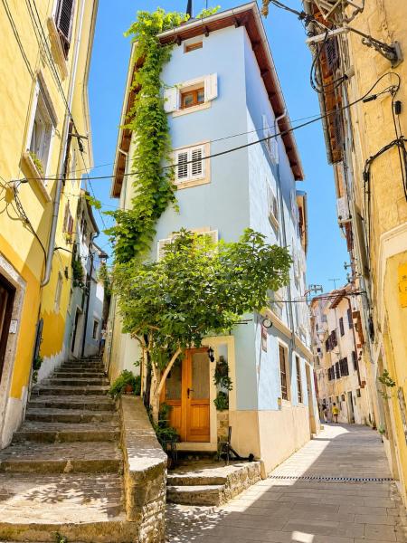 Studio Dionea Piran - Piran