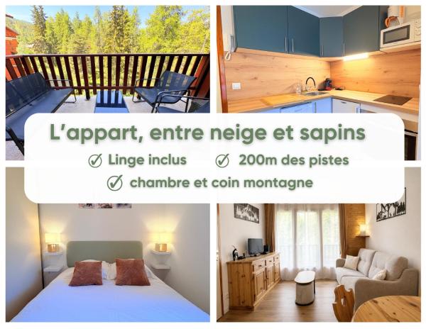 L'appart Entre Sapins Et Neige - La Joue du Loup