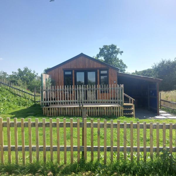 Daisy Cabin-couples Retreat-undercover Hot Tub - Wales