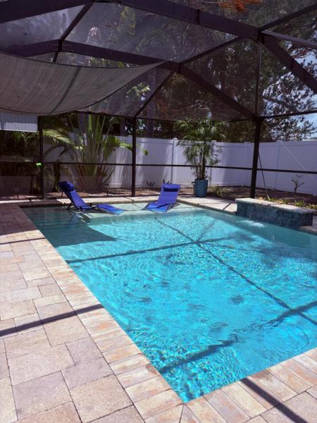 Escape To Tropical Tampa - Tampa, FL
