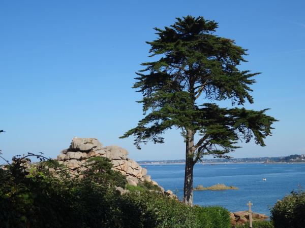 Ty-aganisia Breizh - Perros-Guirec