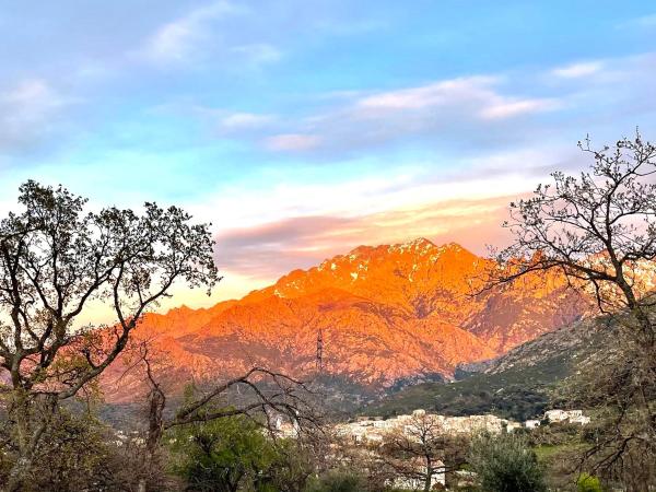 Casa U Mucale - Chambres D'hôtes - Entre Calvi Et Le Gr20 - Calenzana