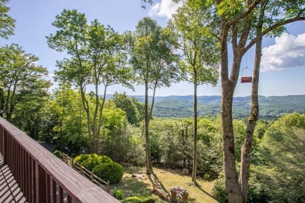 Mountain Remedy - Blowing Rock, NC