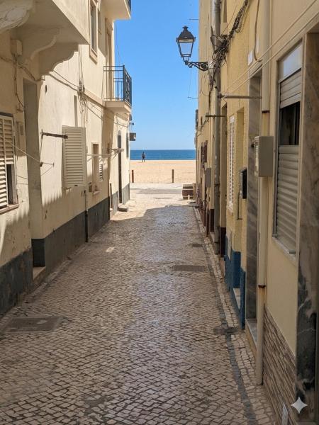 Typical Nazaré House - Nazaré