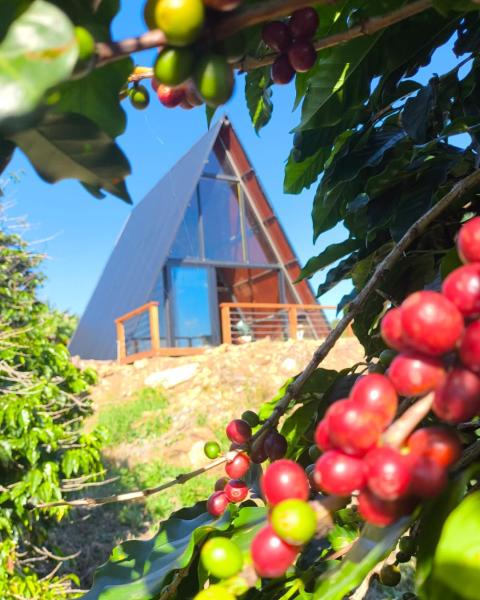 Paradise In Coffee - Socorro
