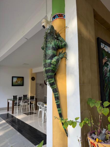 Hostel Amazon Check In - Manaus