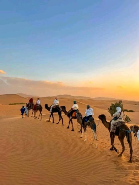 Bivouac Camel Trips - Marokko