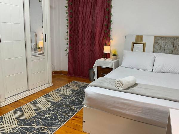 Manial Comfort Guest House - Cairo