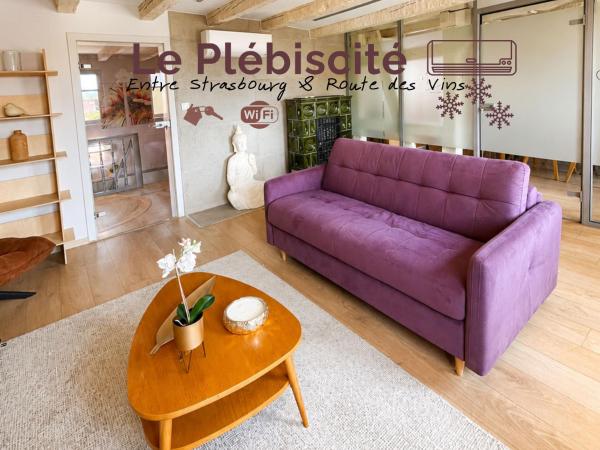 Le Plébiscité Maison Premium Sur La Route Des Vins D'alsace - Molsheim