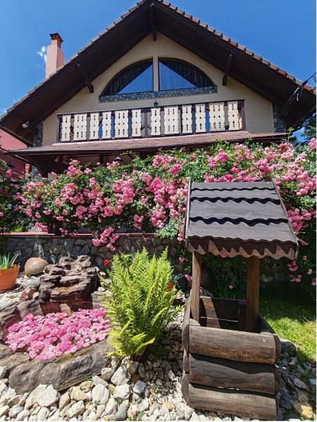 Casa Veveritelor - Zărnești