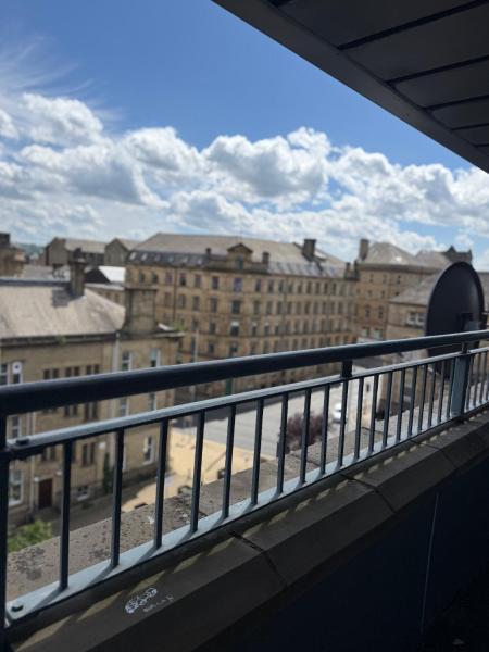 Elysium Pro - Bradford
