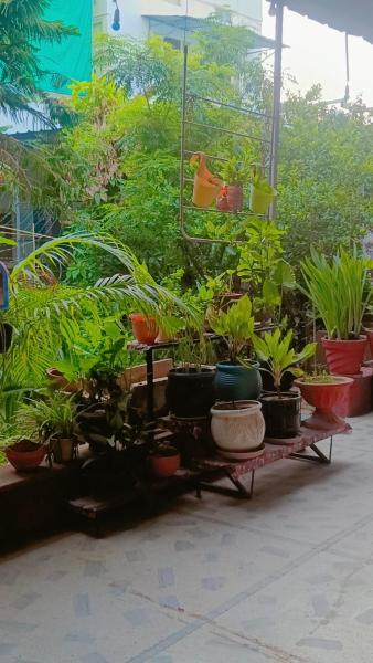 Mishras Homestay - Jaipur