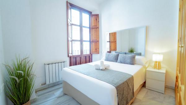 Bonito Y Acogedor Apartamento Pleno Centro Junto Catedral - Granada