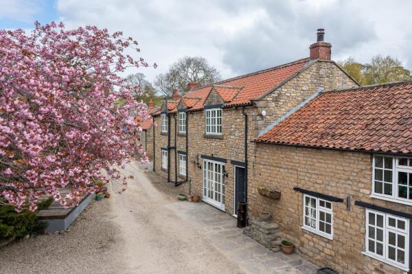 Daisy Cottage - Sands Farm Cottages - Thornton Dale