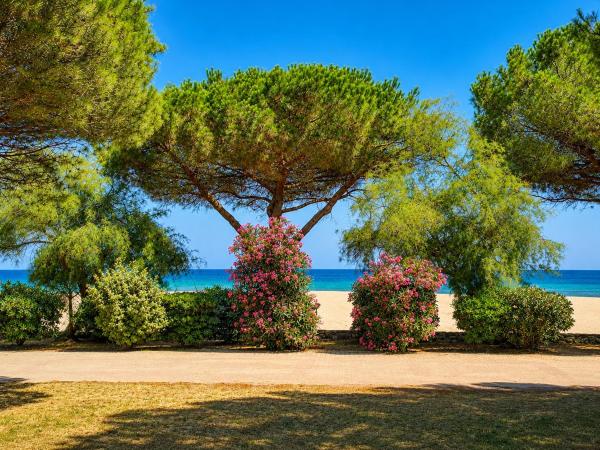 Studio Avec Jardin Front De Mer - Collioure