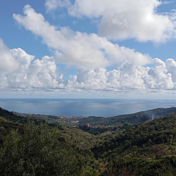 Exclusive Eco-b&b With Sea View Casale Il Sughero - Sapri