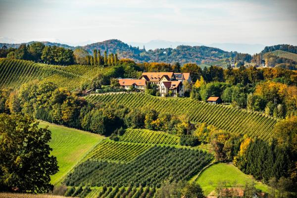 Sattlerhof Genießerhotel & Weingut - Steiermark