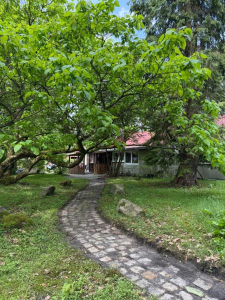 The Cottages - Pet Friendly - Winsen (Aller)