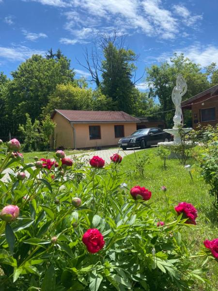 Babér Apartmanház Balatonakarattya - Balatonalmádi