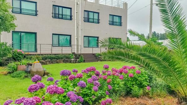 Jeju Chunjane Pension - South Korea