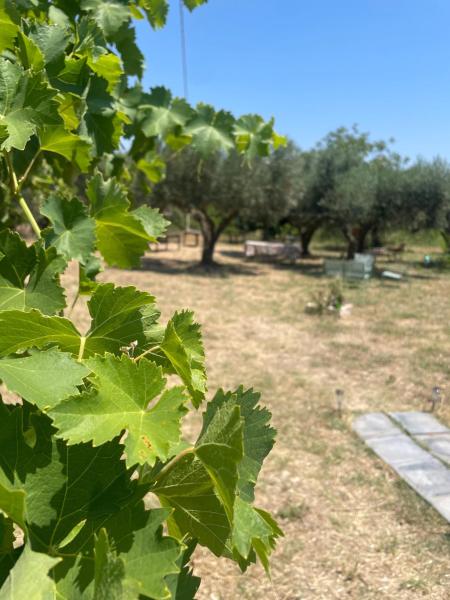 Villa Mario - Pescara