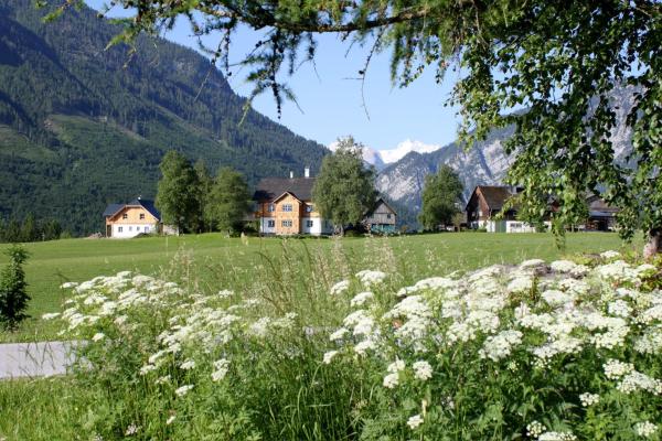 Stanglhof - By Mynests - Bad Aussee