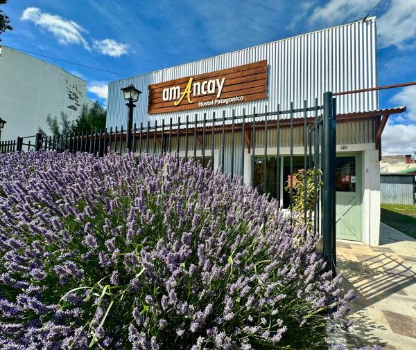 Amancay, Hostal Patagonico - El Calafate