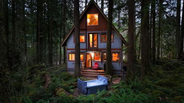 Treetop Hideaway, Sleeps 2 - Glacier, WA