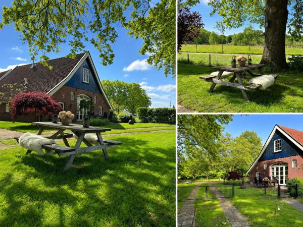 Huize Kroezzz Vakantiehuis Twente Met Omheinde Tuin, 6 Personen En Honden Welkom - Borne