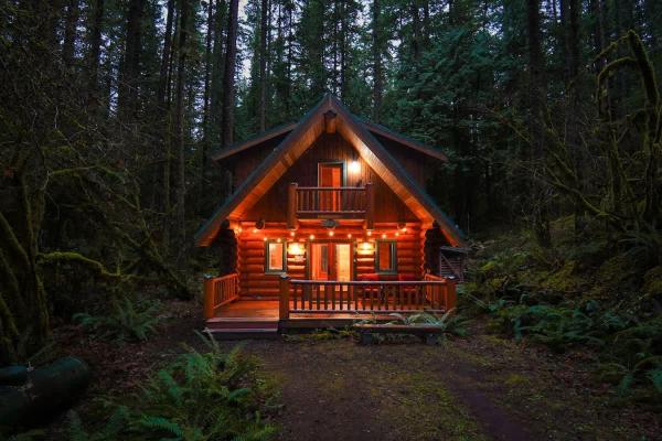 Forest Embrace - Glacier, WA