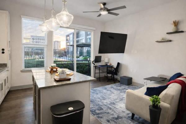 Gorgeous Luxury Lake View Suite - Gym & Pool - Irving, TX