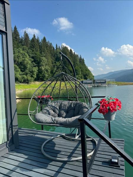 Black Swan Lakehouse - Bicaz