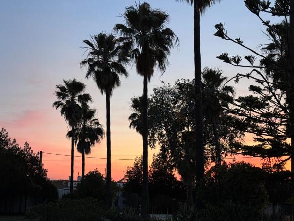 Finca Los Olivos & Spa, Animaux - Utrera