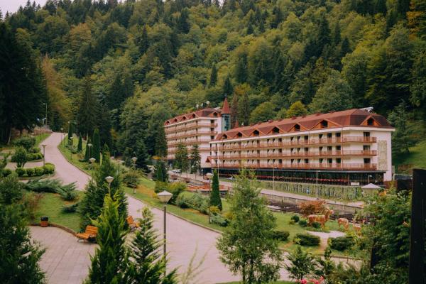 Sairme South - Georgia