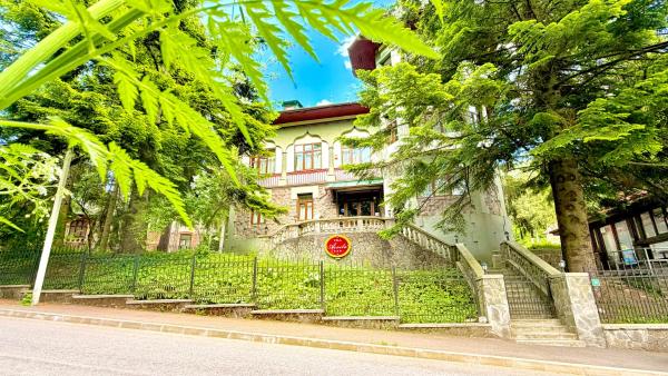 Acvila Villa - Private Retreat In The Quiet Hills Of Sinaia - Sinaia