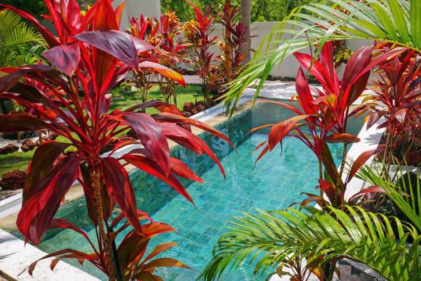 Hakuna Matata Bali Villas - Uluwatu