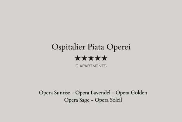 Ospitalier Piata Operei - 5 Spacious Apartments In City Center - Roumanie