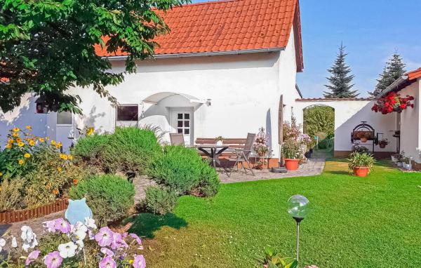 Ferienhaus Ueckermünde Bellin - Altwarp