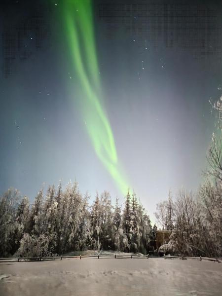 Cozy Christmas Cabin - Fairbanks, AK