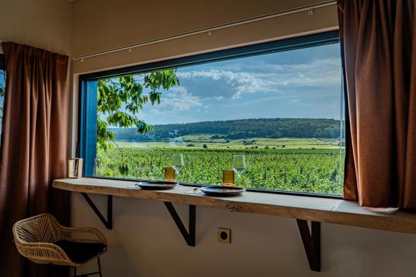 Lodge Des Grands Crus - Dormez Au Cœur Du Vignoble - Nuits-Saint-Georges