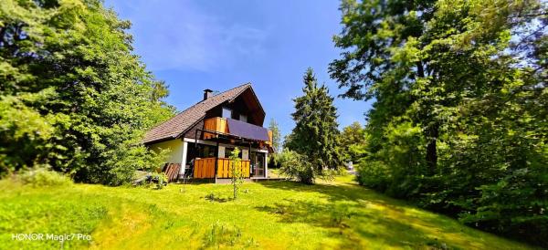 Ferienhaus Laange - Frankenau