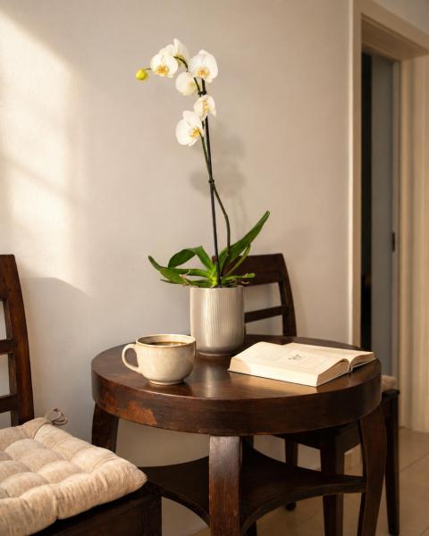 Grape&wine Guesthouse - Eger