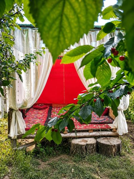 Guest House Dinara