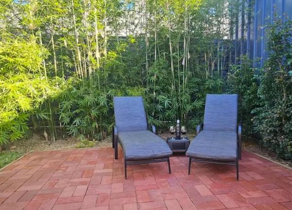 North Adelaide Cottage, Festival Theatre, Adelaide Oval, Football, Golf, Walk To Zoo And Botanic Gardens - Walkerville
